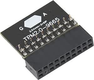 asus,TPM 2.0 Encryption Security Module 20Pin 2 10P Standalone Crypto Processor TPM for Gigabyte ...
