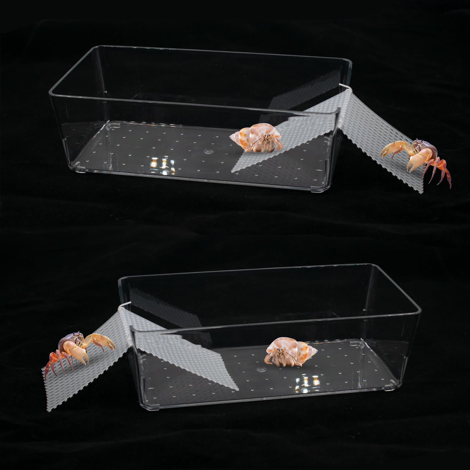 Amazon.com : XiyaxiVici 2 Pack Large Transparent Hermit Crab Water Tank ...