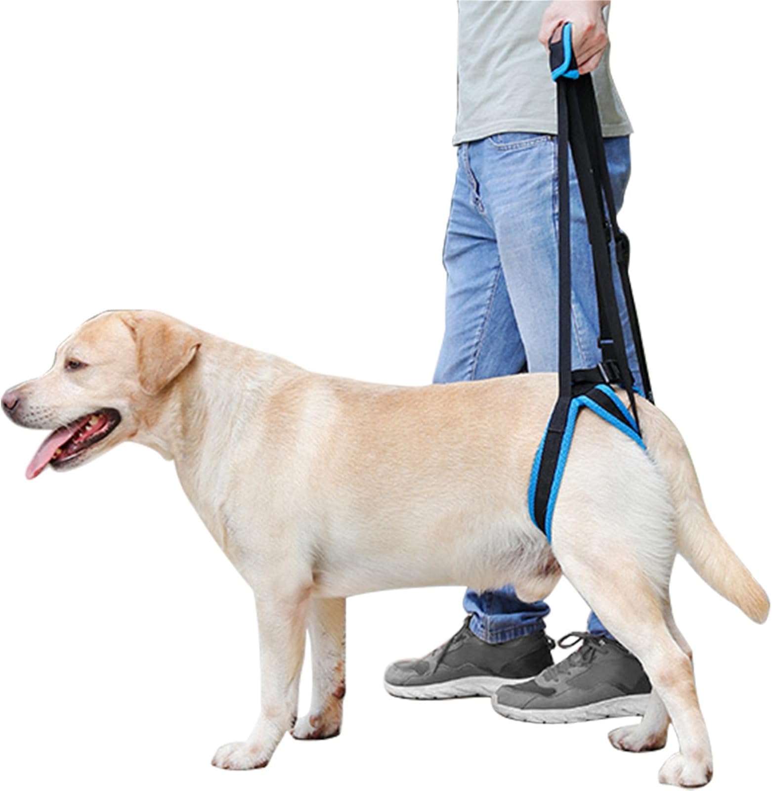 PetSafe Rear Support Harness - Lifting aid with handle - Great for pet ...