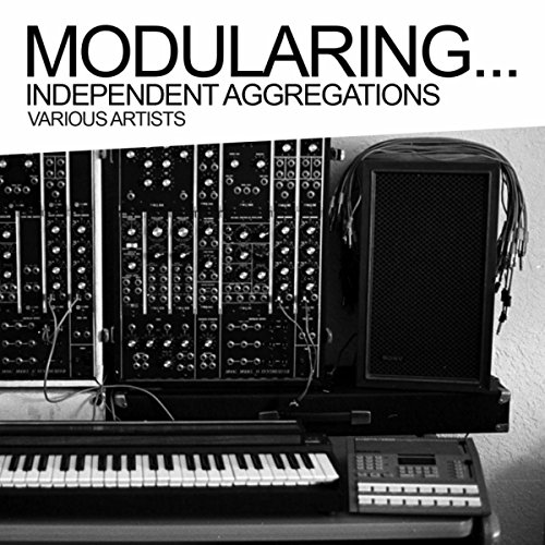 Amazon MusicでVARIOUS ARTISTSのModularing... Independent Aggregationsを再生する