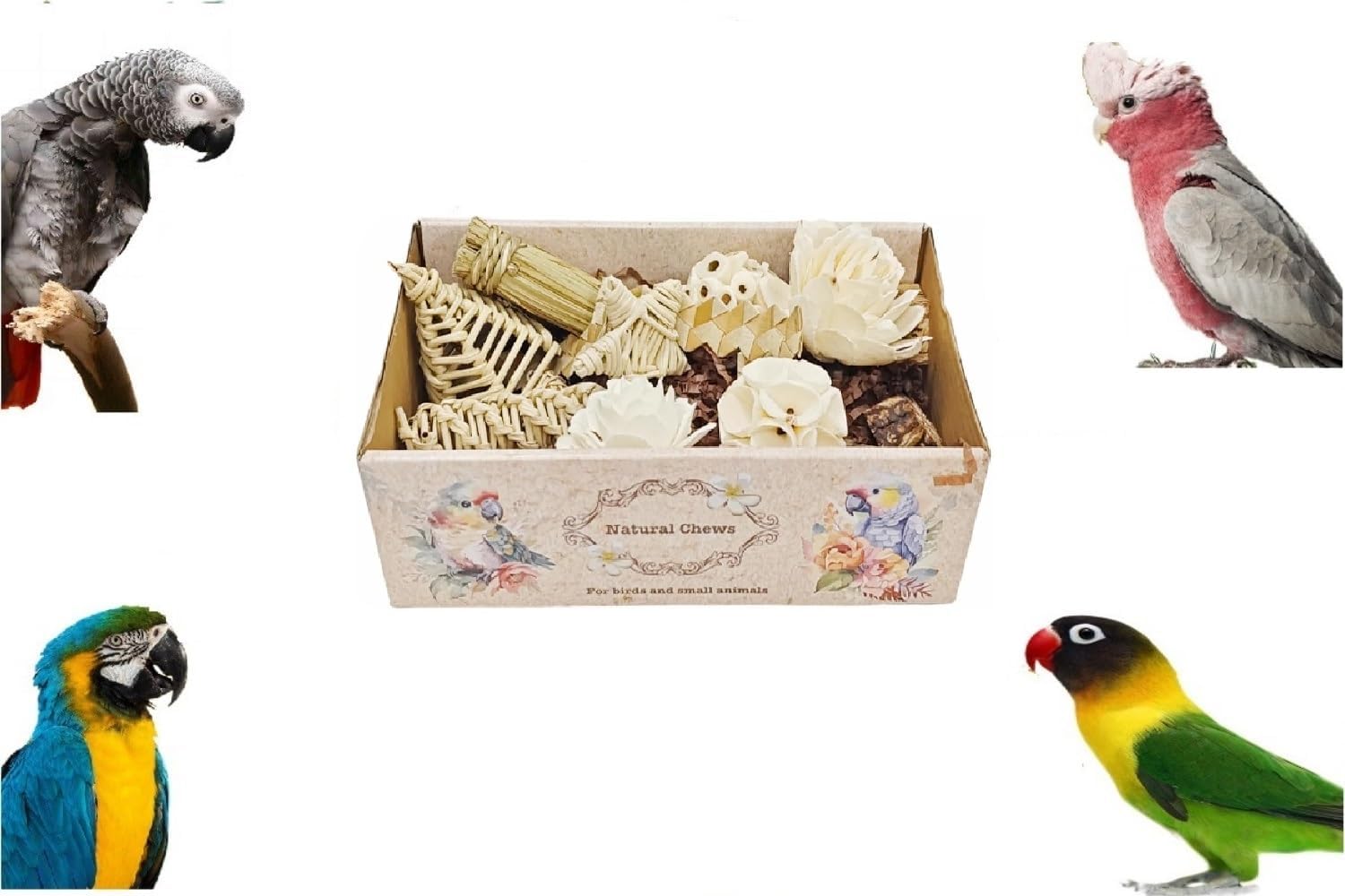 Amazon.com : Large Style Bird Toys Box Bird Foraging Shredding Toys Box ...