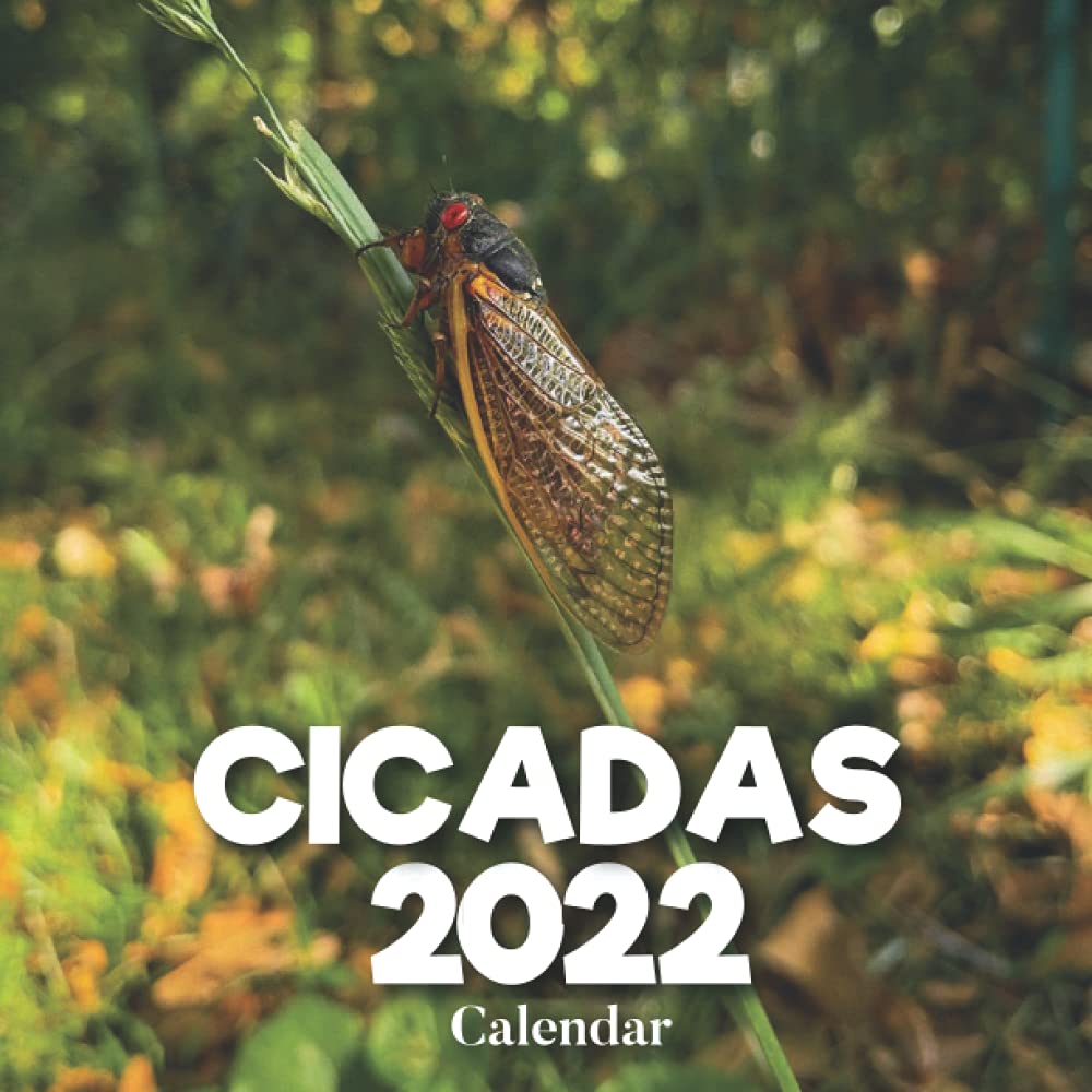 Buy Cicadas 2022 Calendar A Monthly And Weekly 12 Months Calendar 2022 Buy Cicadas 2022 Calendar A Monthly And Weekly 12 Months Calendar 2022