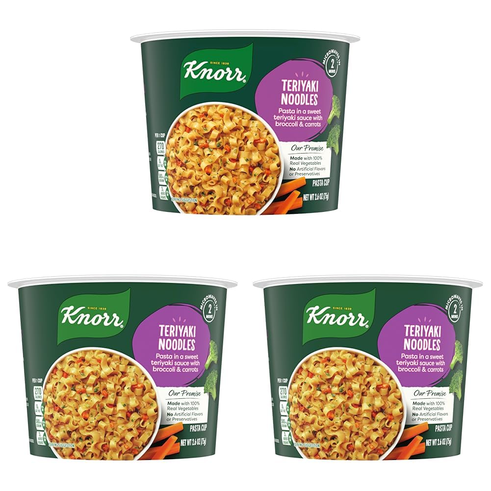 Amazon.com: Knorr Pasta Cup For a Quick and Easy Meal, Teriyaki Noodles ...