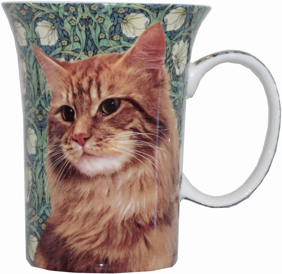 Amazon.com | McIntosh Feline Friends Orange Tabby Fine Bone China (11 ...