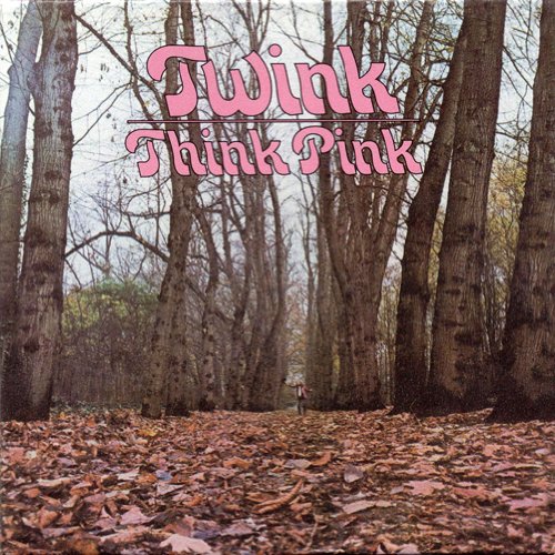 Think Pink: Twink, Steve Peregrine Took, Junior Wood, John Alder, John ...