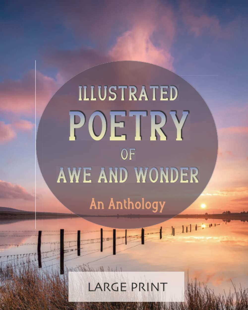 Amazon.com: Illustrated Poetry of Awe and Wonder: An Anthology: Large ...