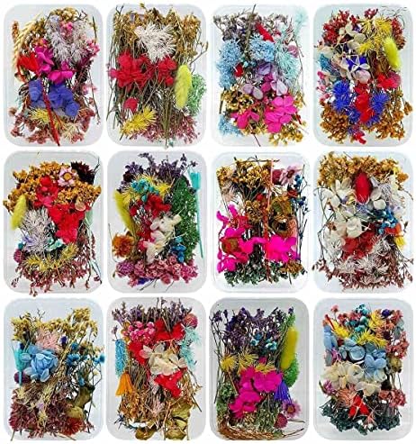 Prokart Real Natural Dried Flowers for Art Craft Mixed Soap, Candle ...