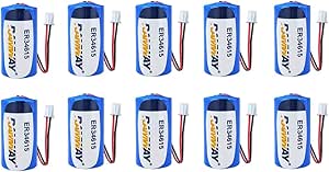 Amazon.com: NOOKK (Pack of 10) ER34615 3.6V 19000mAh D Size Lithium Battery with White Plug for ...