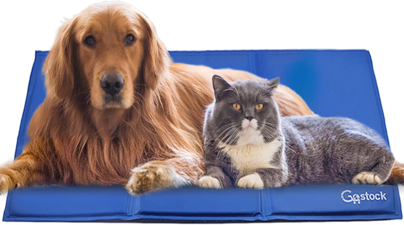 Green Pet Shop The Self Cooling Pet Pad, Extra Large, : Amazon.co.uk ...