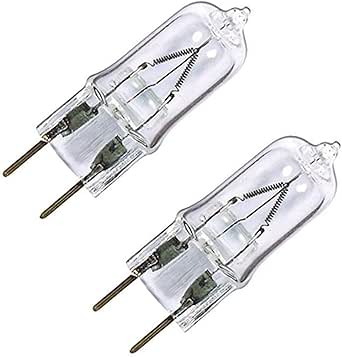 India Meets India Mirchi Bulb Set of 2 - Amazon.com