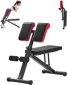 VEVOR Multi-Functional Weight Bench for Full Body Workout, Roman Chair ...