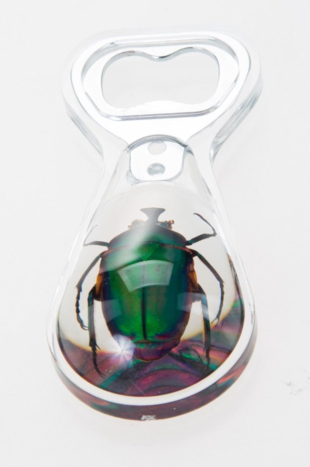 Amazon.com: Beetle Bottle Opener BEER Scarab Acrylic Female Bug Fossil ...