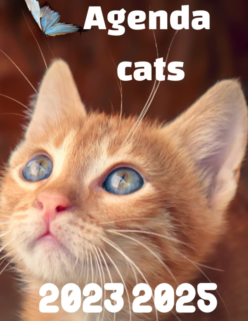AGENDA CATS 2023 2025: Cute Cat Themed 2023 Calendar Notebook Daily ...