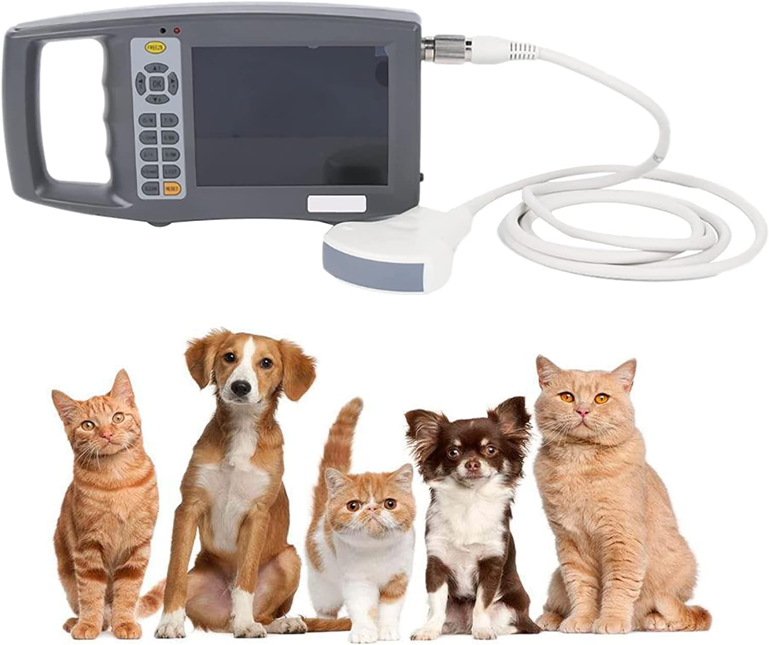 Veterinary Ultrasound Scanner Machine Handscan, Portable Ultrasound ...