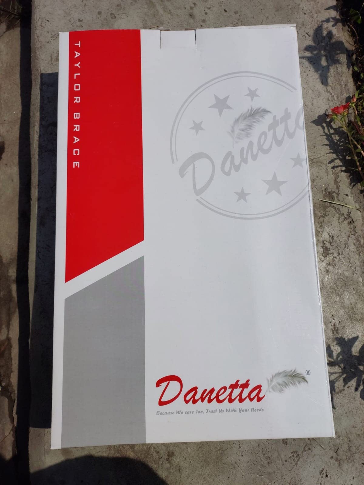 Buy Danetta TAYLOR BRACE (SMALL) for men & women| Posture Corrector ...