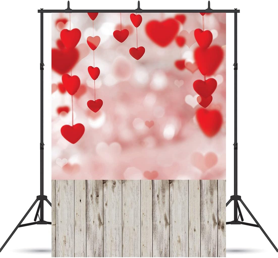 Amazon.com : WOLADA 5x7FT Valentine's Backdrop for Photography ...