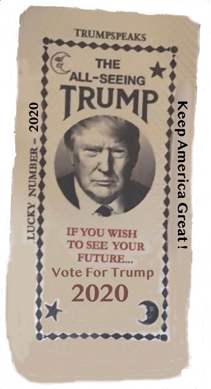 Amazon.com: Talking President Predicto - Donald Trump Fortune Teller ...