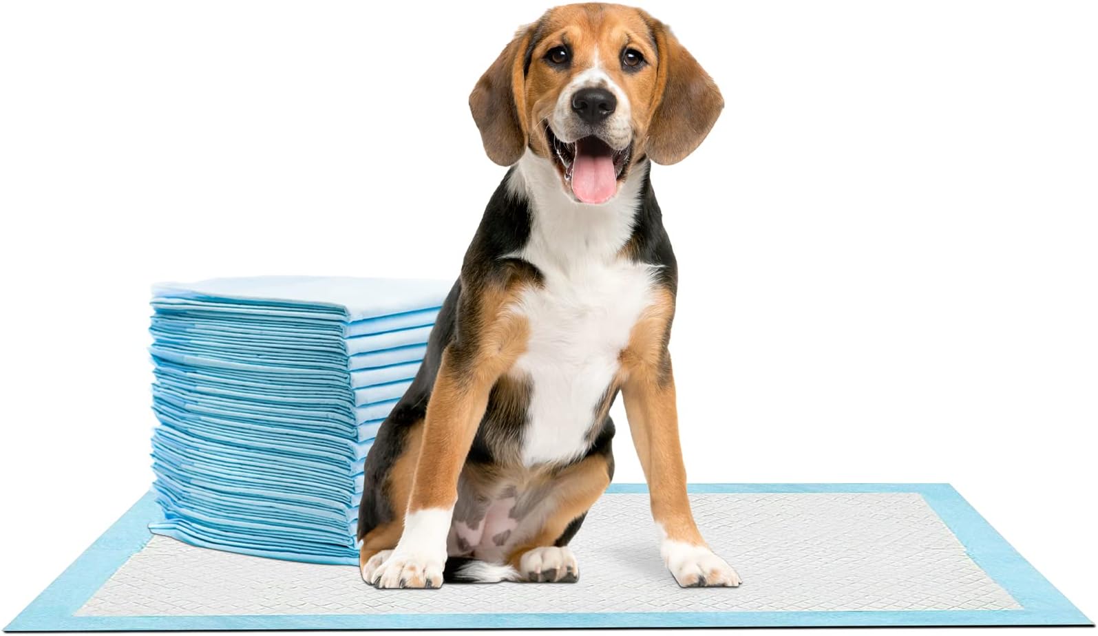 DOG n KITTY Heavy Duty Puppy Pads With Leak Proof & Odour Control Anti ...