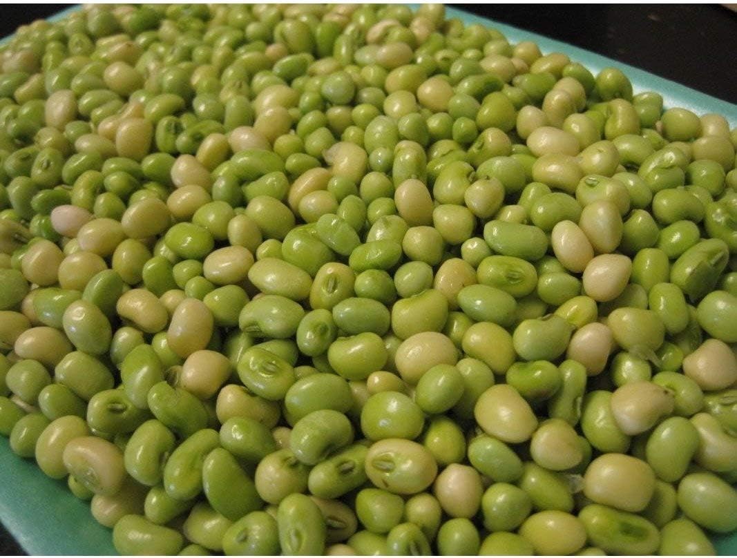 Amazon.com : White Acre Pea Seeds (40 Seed Pack) : Patio, Lawn & Garden