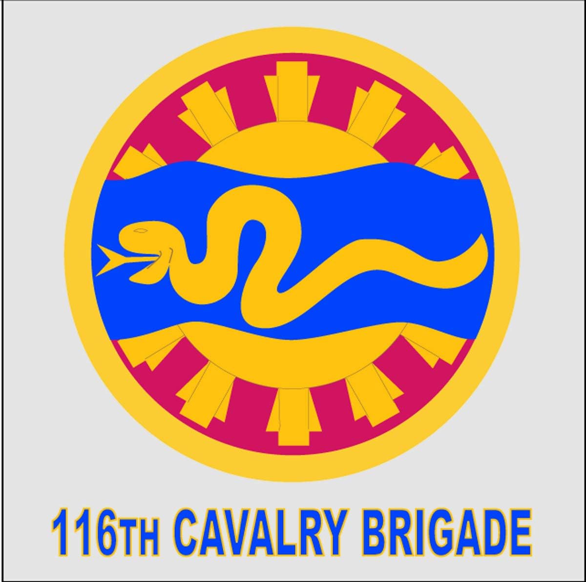 Amazon.com: 116th Cavalry Brigade Patch Decal : Clothing, Shoes & Jewelry