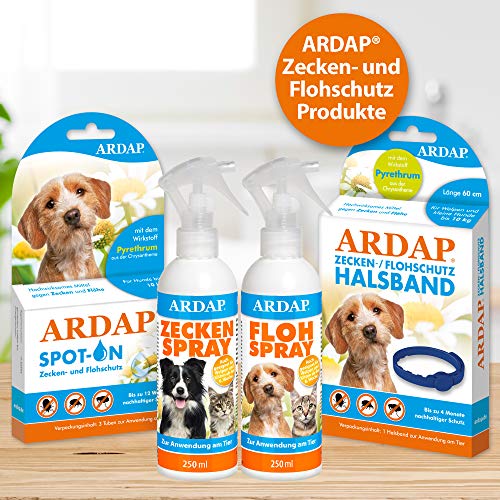 Hundemilben – Die 16 besten Produkte im Vergleich - HundeINFOPortal