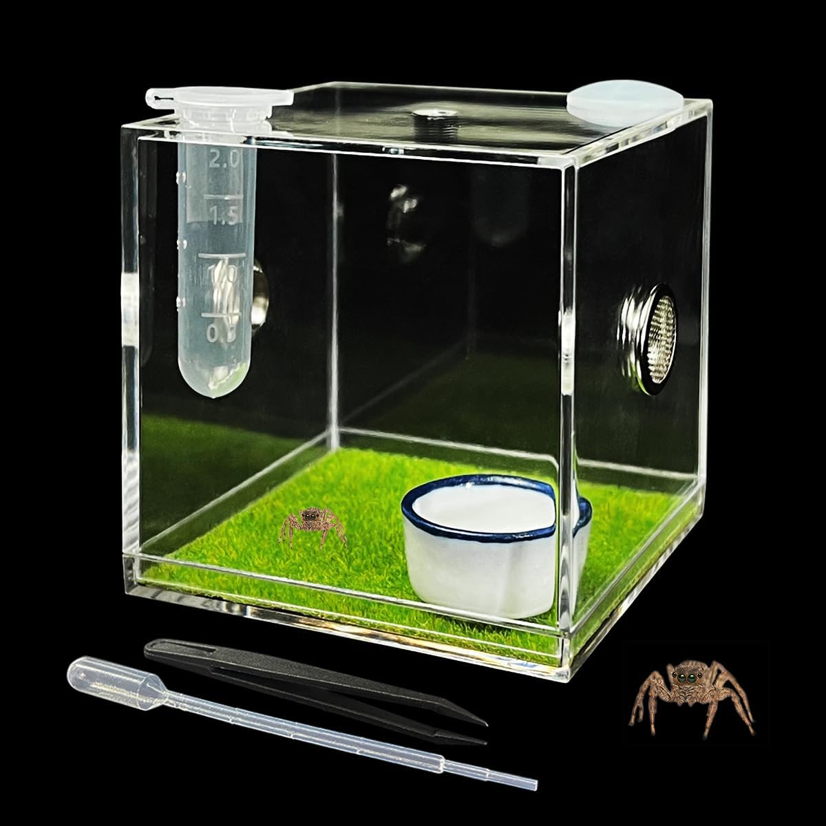 Amazon.com : GKPONSX Acrylic Jumping Spider Enclosure, Spider Terrarium ...