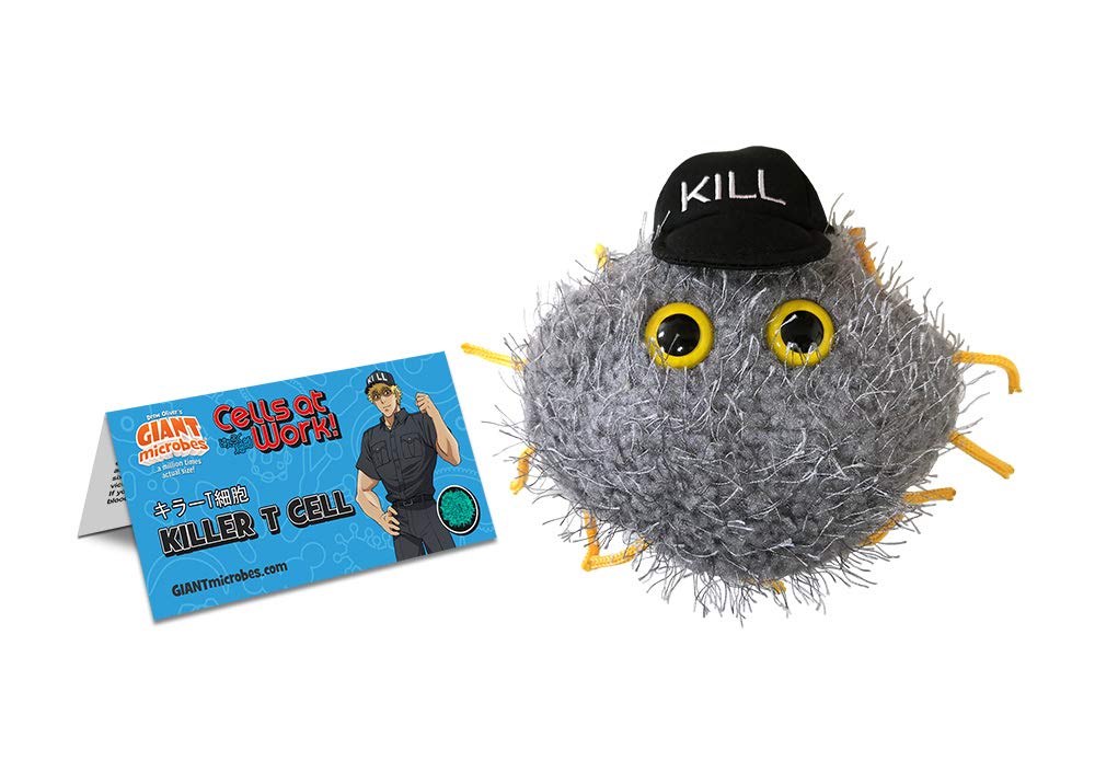 Killer T Cell
