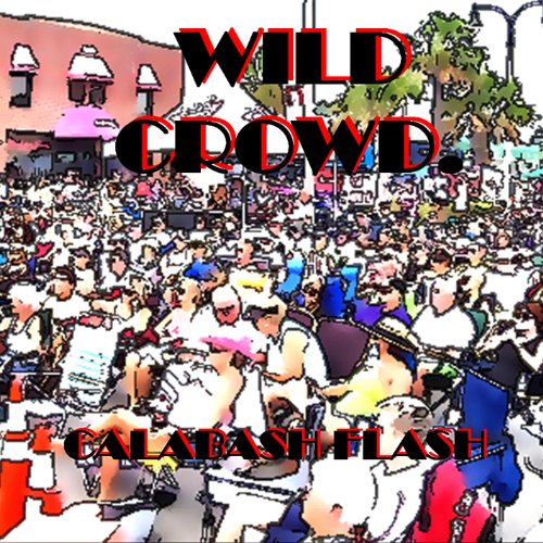 Amazon.com: Wild Crowd : Calabash Flash: Digital Music