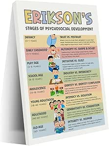 Amazon.com: Erik Erikson's Psychosocial Development Stage Poster ...