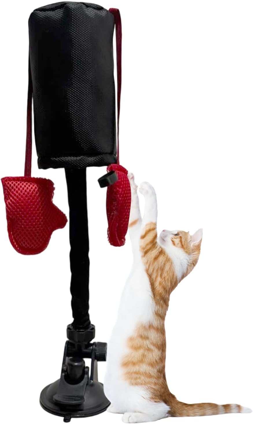 Cat Punching Bag Toy, Cat Punch Bag Toy, with Suction Cup, Pet Teasing ...
