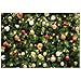 Amazon.com : Allenjoy 7X5ft Vinyl Christmas Tree Balls Photo Backdrop ...