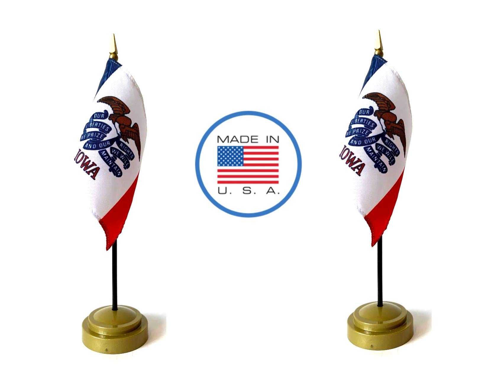 Iowa Flag Waving