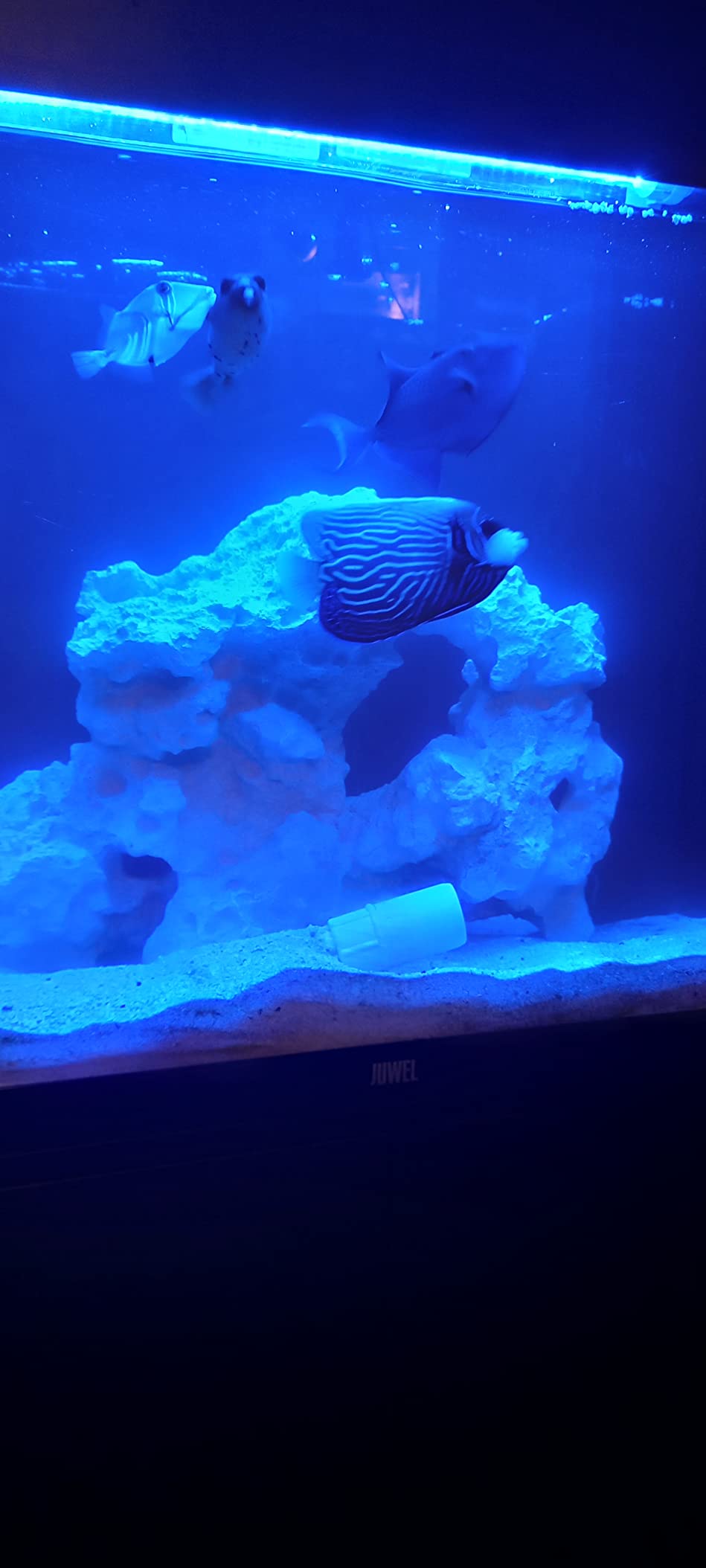 XL Large White Rock Artificial Aquarium Decor : Amazon.co.uk: Pet Supplies