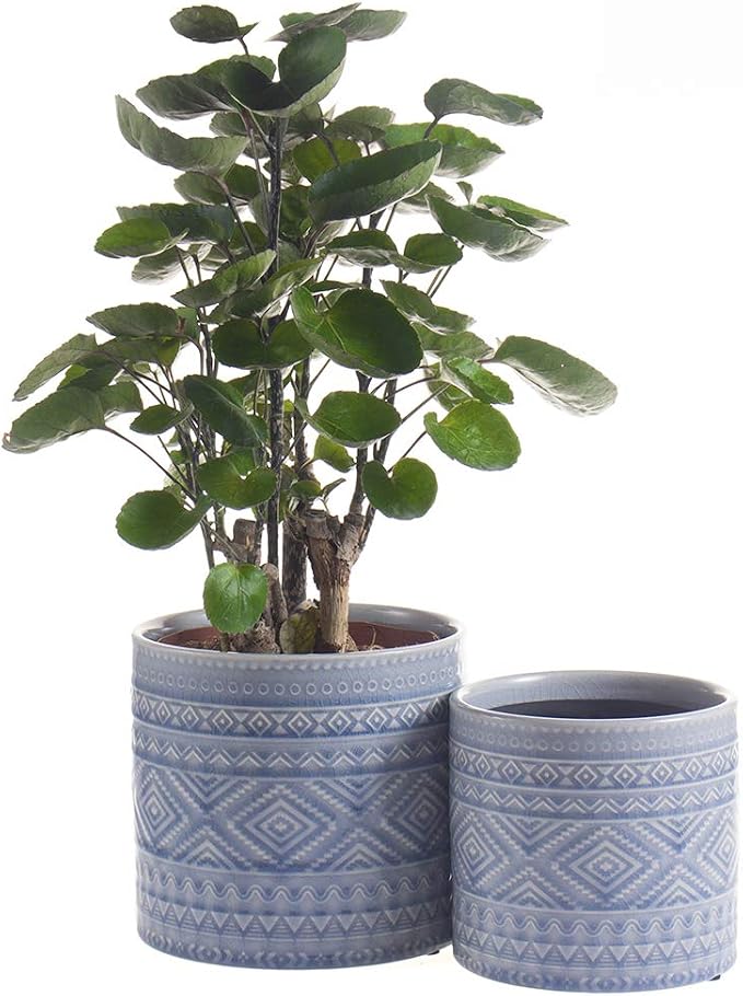 Amazon.com: Voeveca Ceramic Flower Pot Garden Planters 4.5" and 5.5 ...