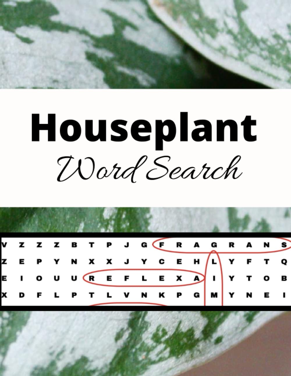 Amazon.com: Word Search Houseplant Book: Favorite Plants in Large Print ...