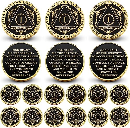 1 Year Sobriety Coin Sobriety Coins Set - 1 Month To 30 Years AA ...