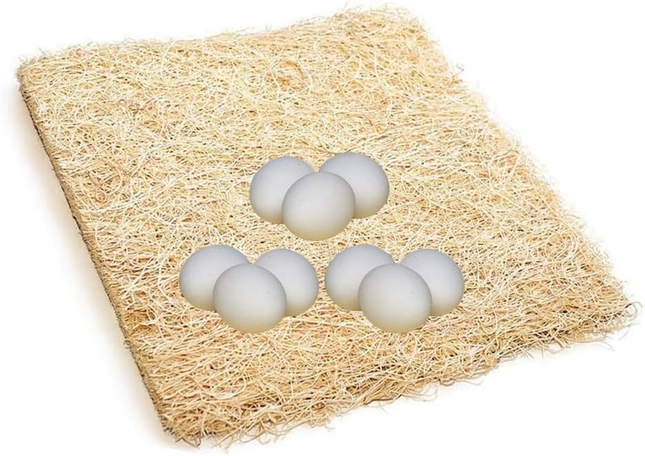 Amazon.com : Weelongha Excelsior Poultry Nesting Pads 9"x12" Bundle of ...