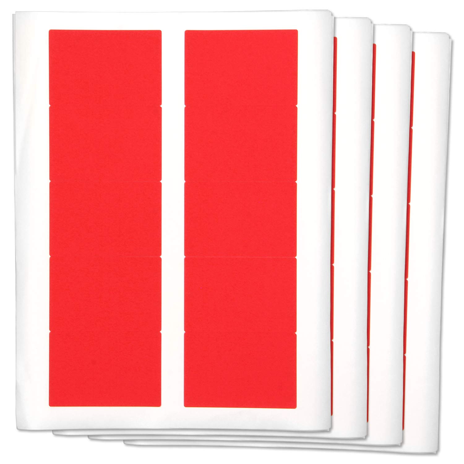 600 Labels 2 X 3 Inch Fluor Red Colorful Name | Desertcart OMAN