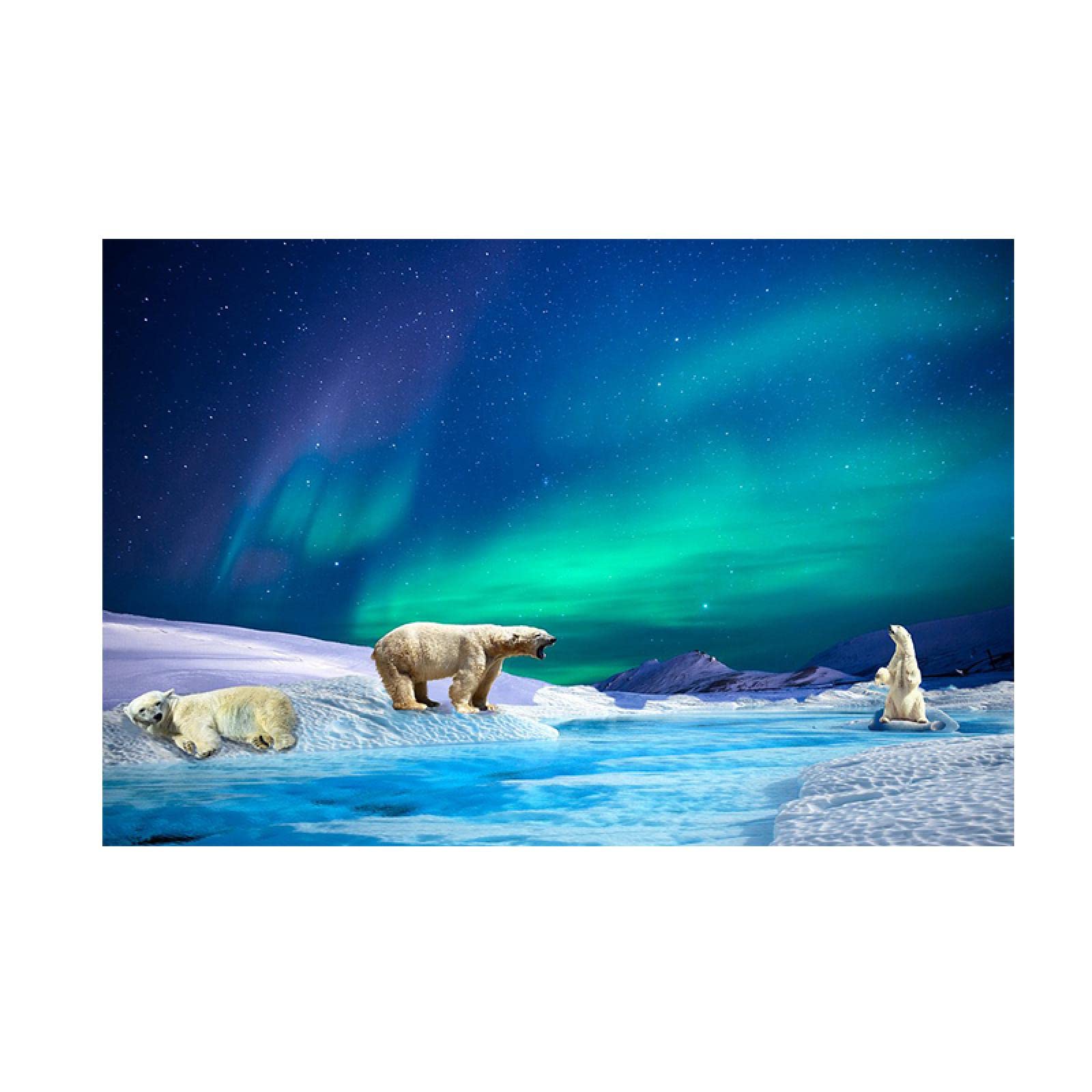 Arctic Landscape Northern Lights