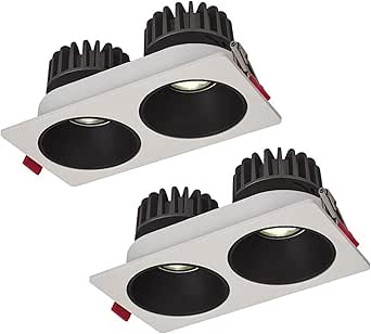 2-Pack Recessed Lighting, Double-Head Rectangular Downlight Retrofit ...