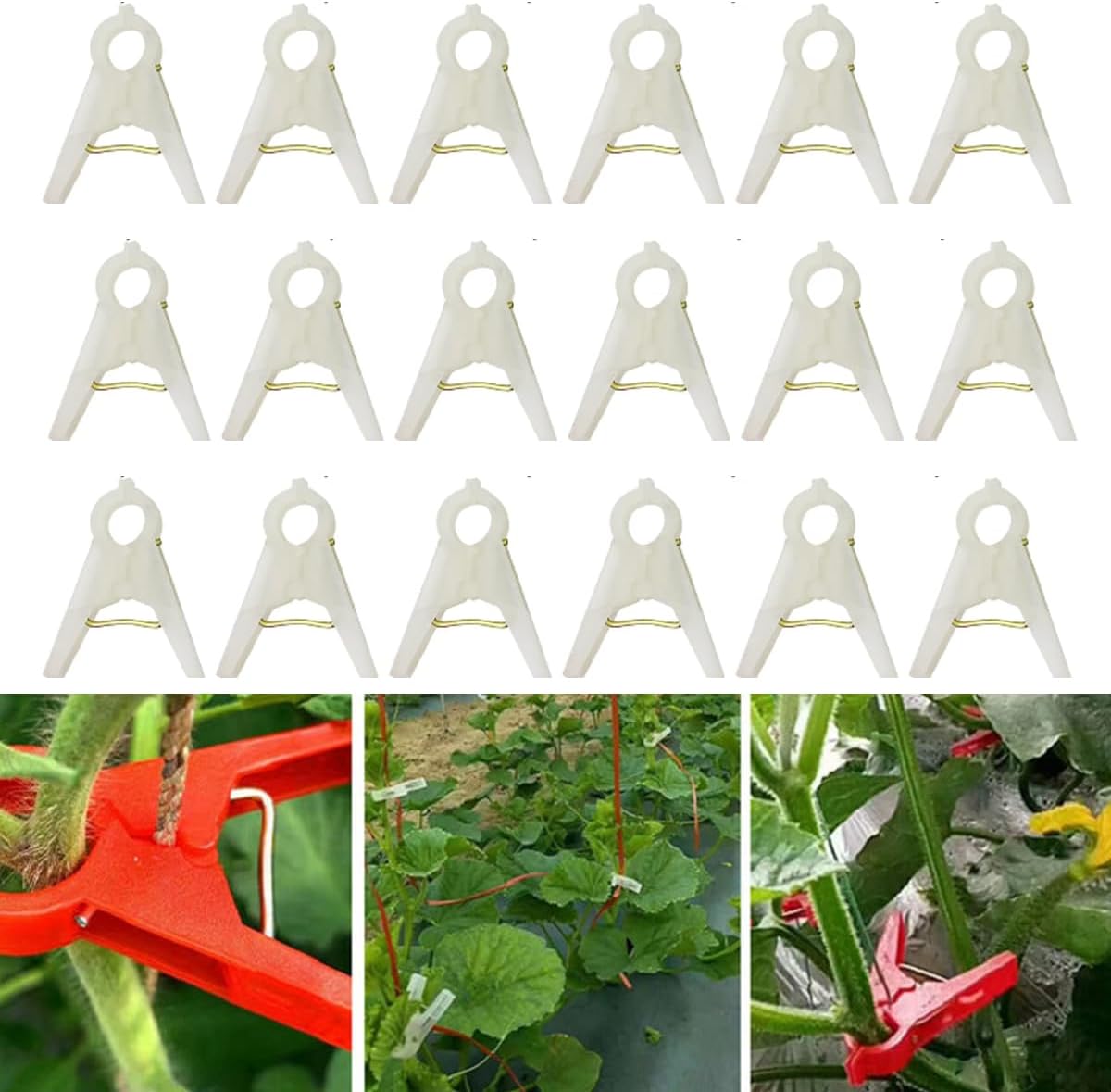 Amazon.com: Plant Support Clips, Secured Plastic Plant Clips, Reusable ...