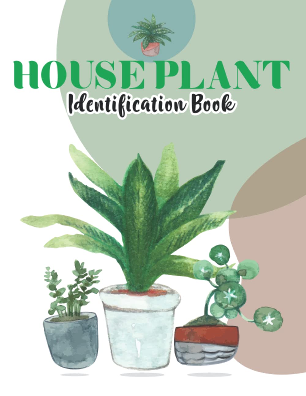 House Plant Identification By