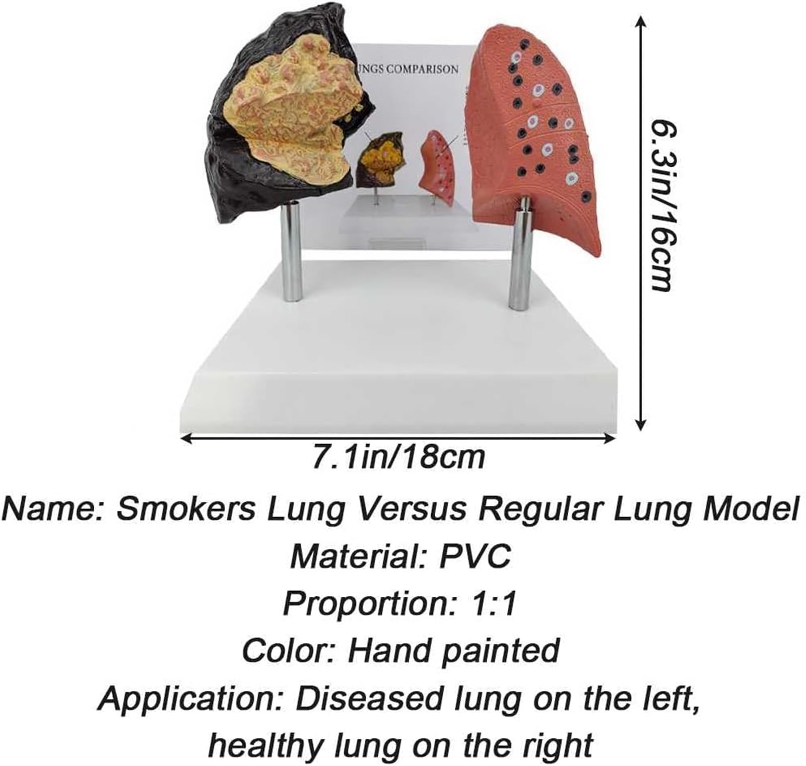 Smoking Lungs Vs Healthy Lungs
