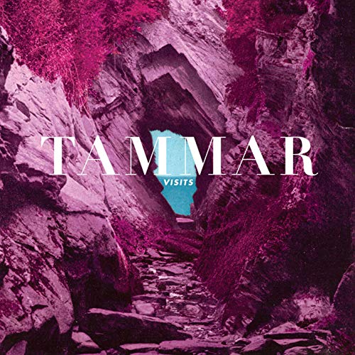 Amazon.com: Visits : Tammar: Digital Music
