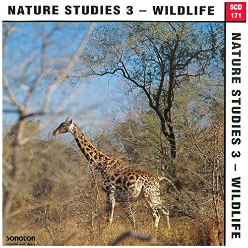Amazon.co.jp: Nature Studies, Vol. 3: Wildlife : John Fox, Mac Prindy ...
