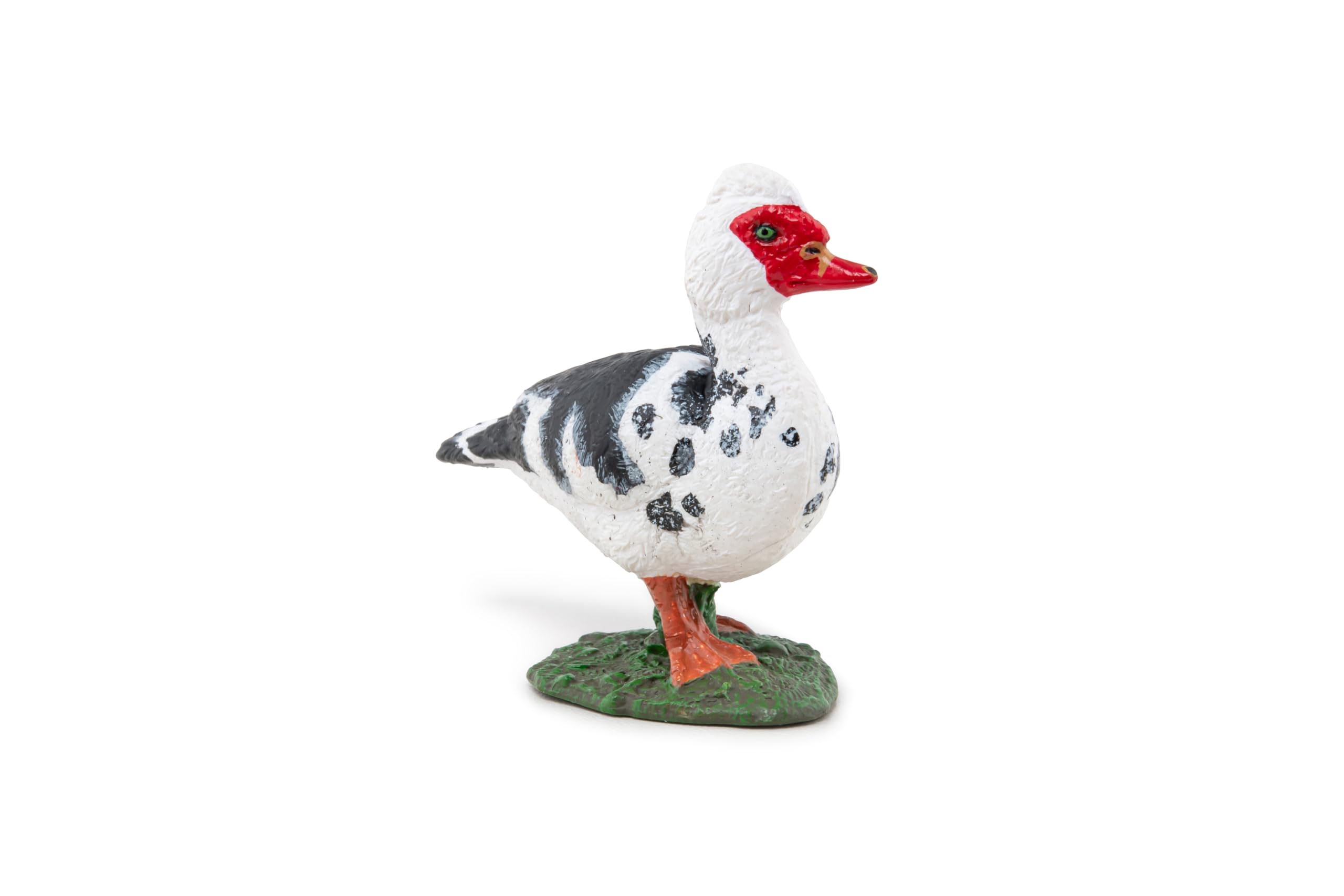 Papo – Hand painted – Animal Figure – Domestic Muscovy Duck – 51189 ...
