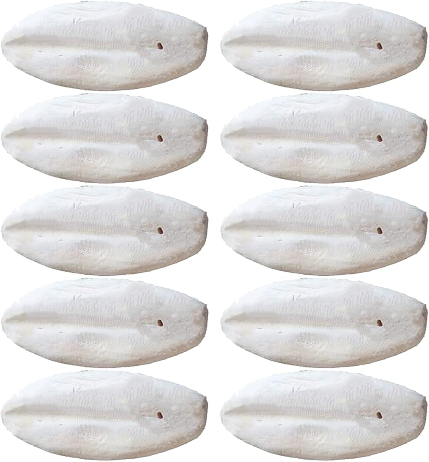 Amazon.com : BNOSDM Bird Cuttlebone Chew Toy Cuttlefish Bones Parrot ...