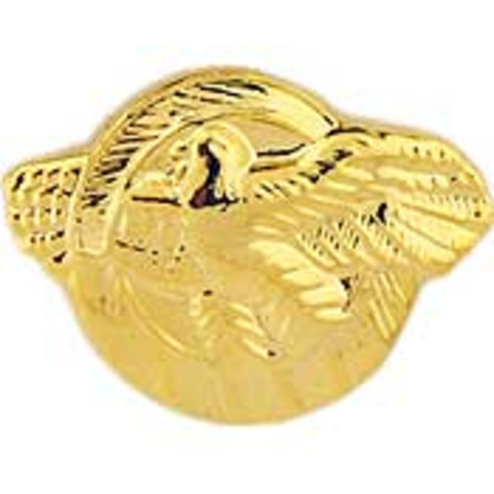 Amazon.com: WWII Ruptured Duck Honorable Discharge Pin 1" : Industrial ...