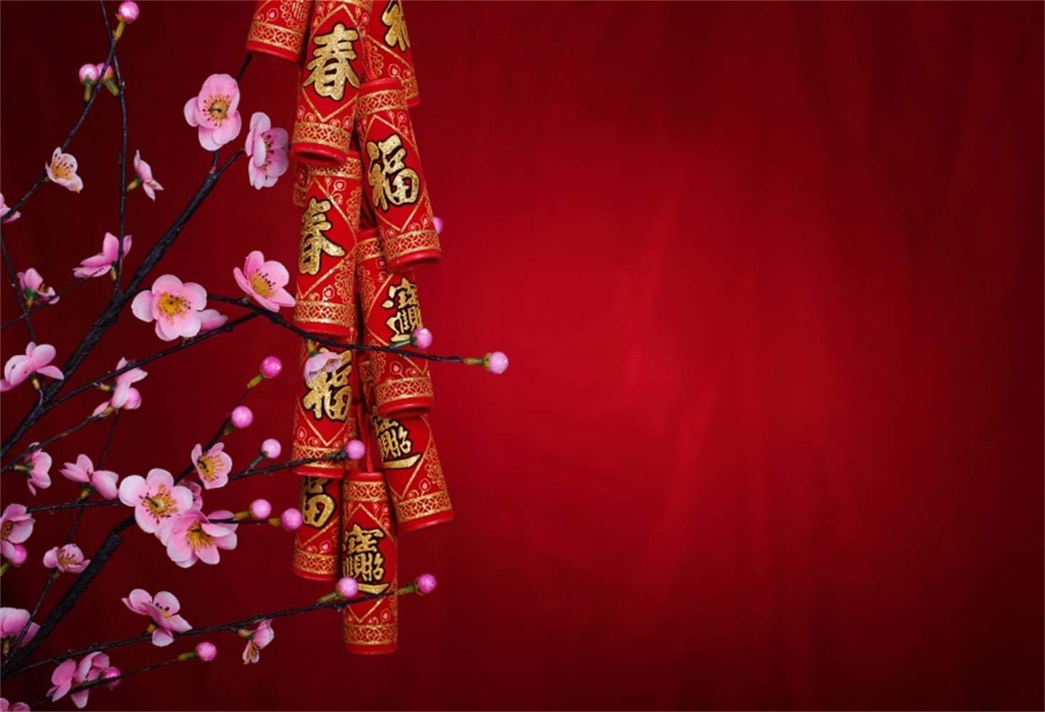 Amazon.com : Laeacco 10x6.5ft Chinese Spring Festival Backdrop Chinese ...