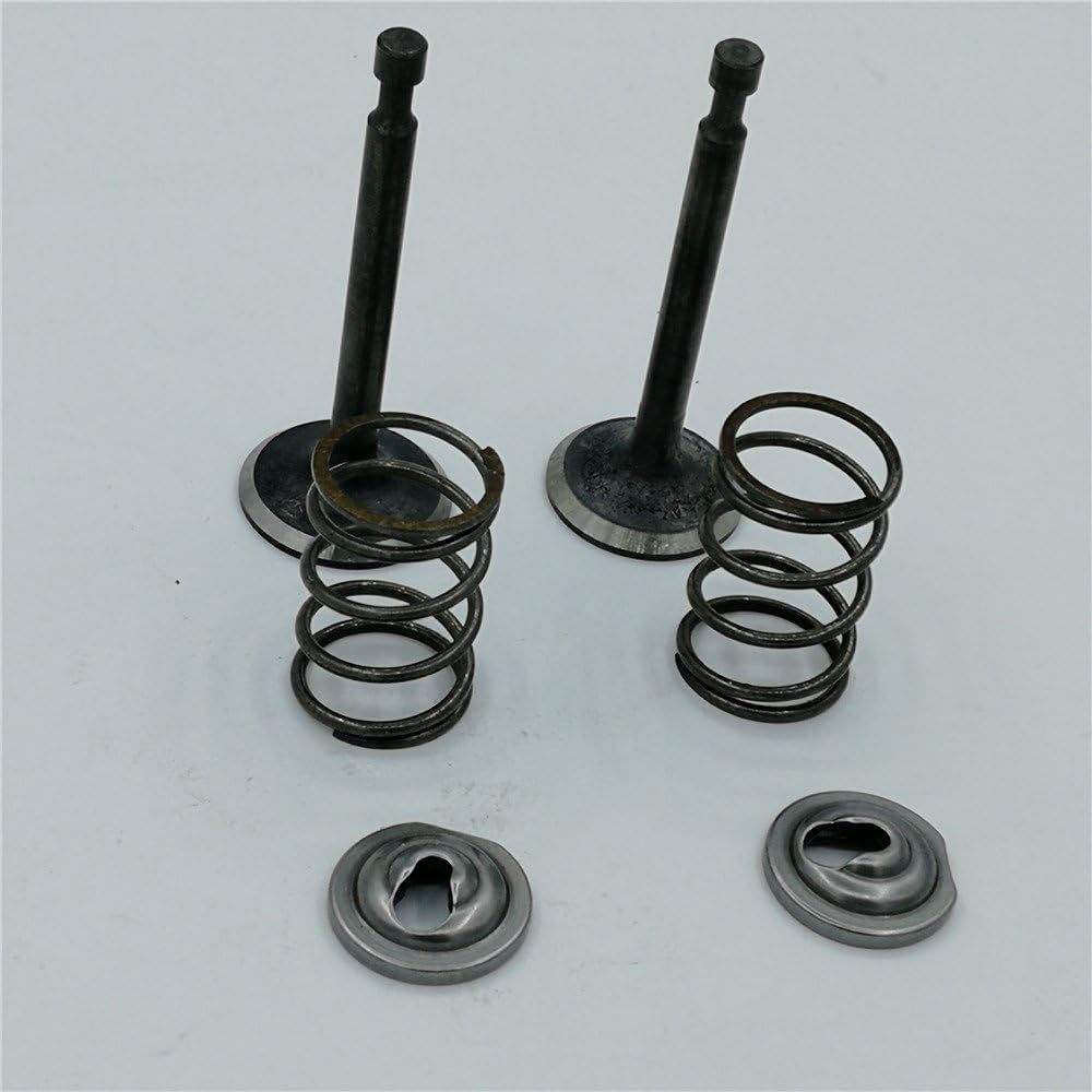 Amazon.com: Intake Exhaust Engine Valve Kit,Generator Intake Exhaust ...